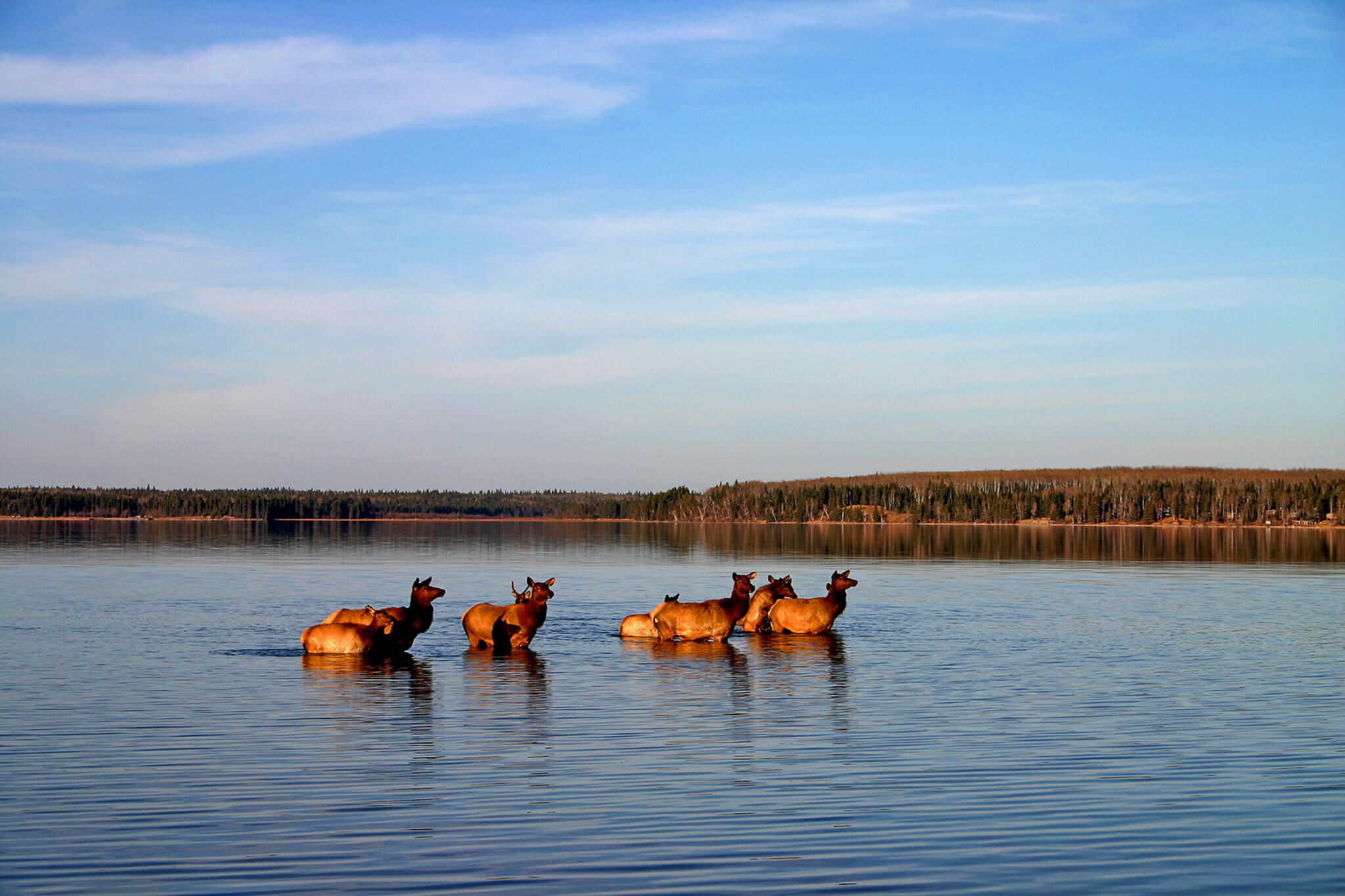 20 Photos You Won't Believe Are In Saskatchewan - Landsby