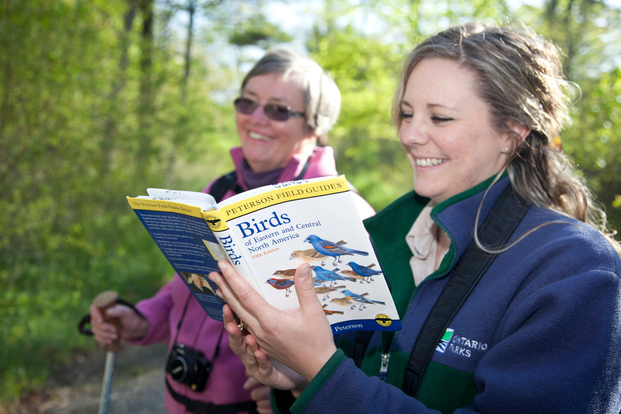 Ways To Experience Ontario's Spring Bird Migration - Landsby
