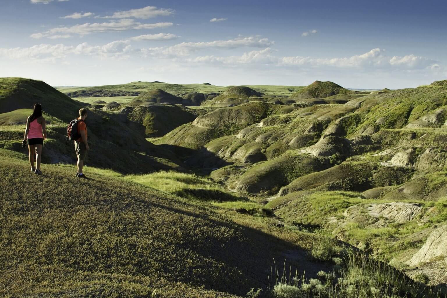 The Beauty Of Grasslands National Park - Landsby