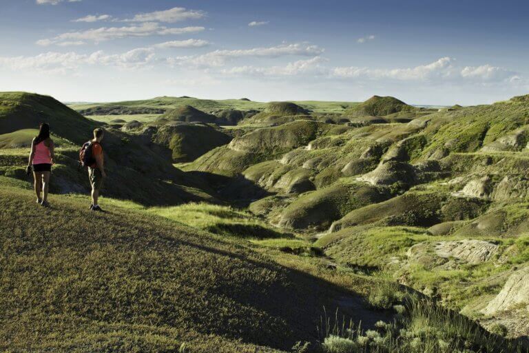 The Beauty Of Grasslands National Park - Landsby
