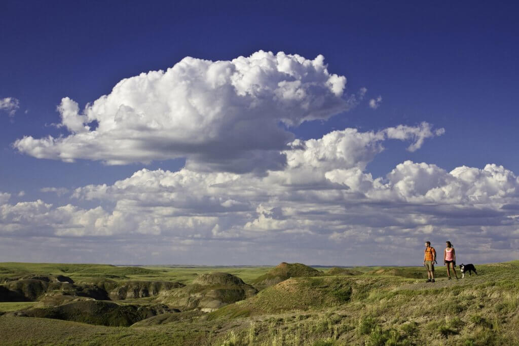 The Beauty Of Grasslands National Park - Landsby