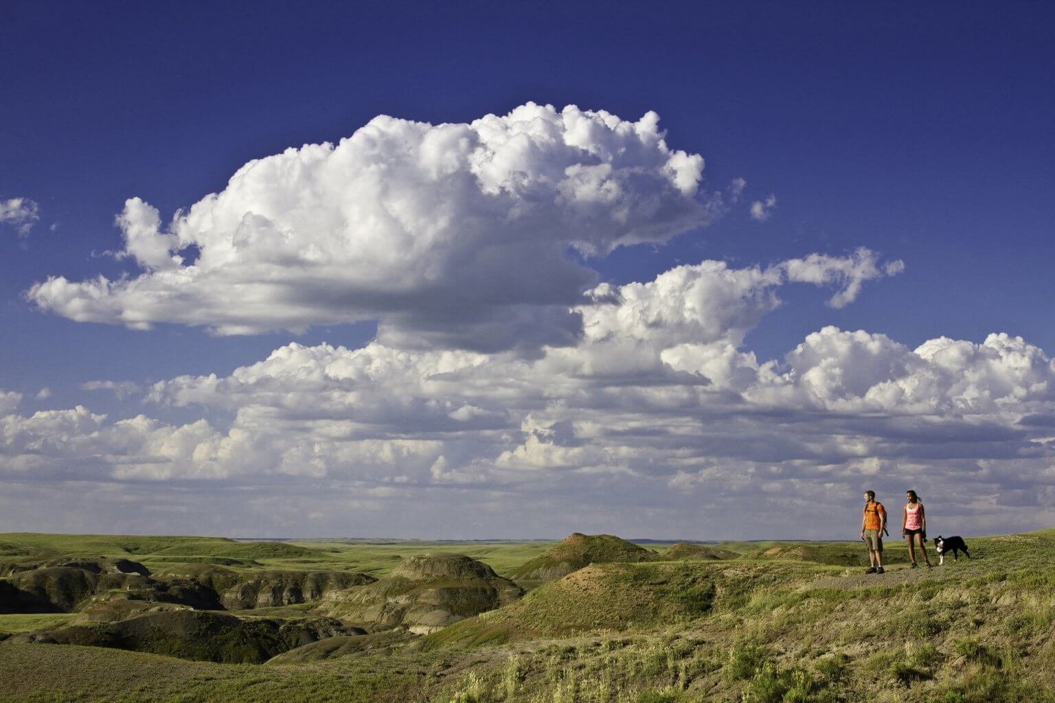 The Beauty Of Grasslands National Park - Landsby