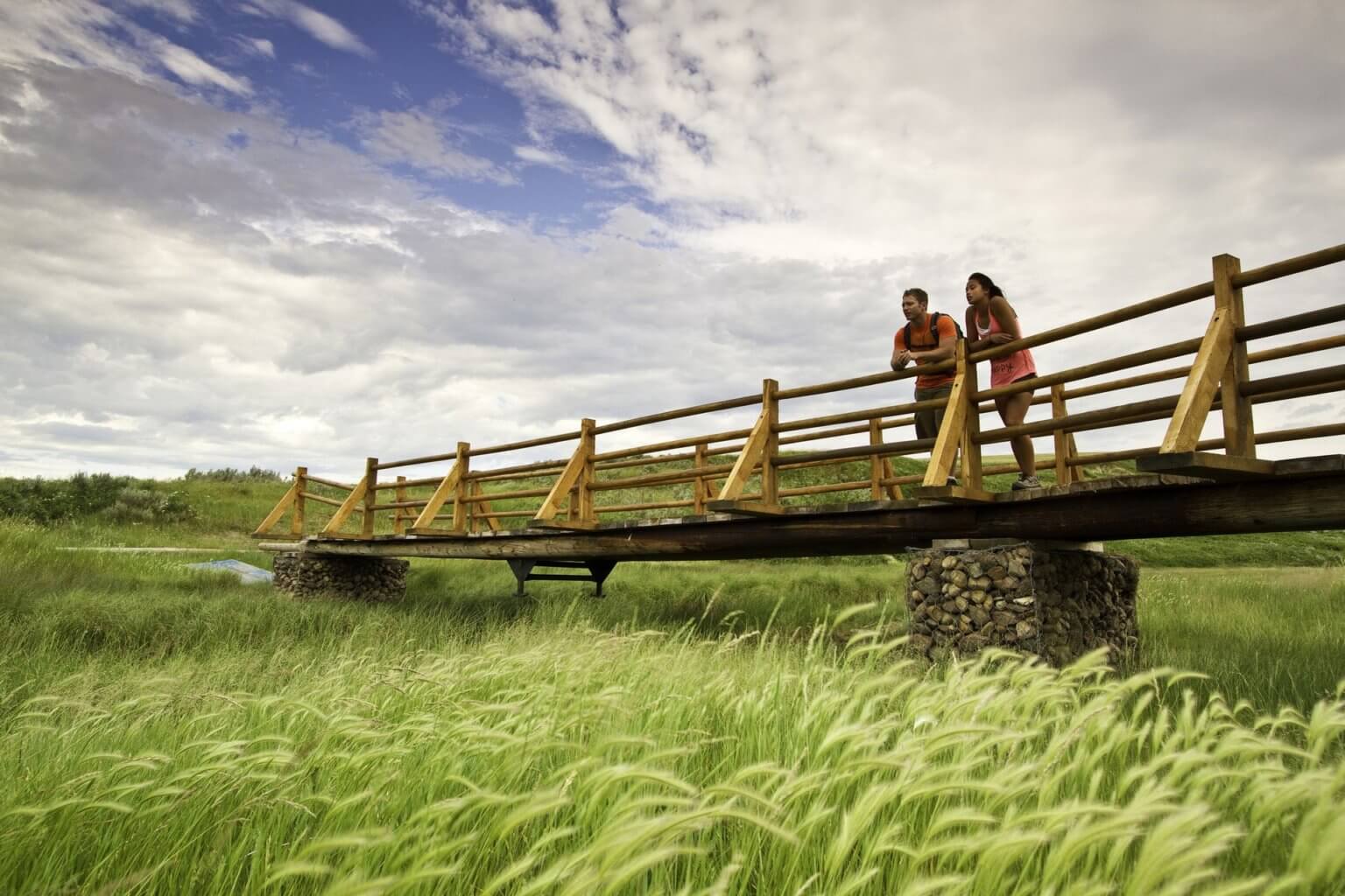 The Beauty Of Grasslands National Park - Landsby