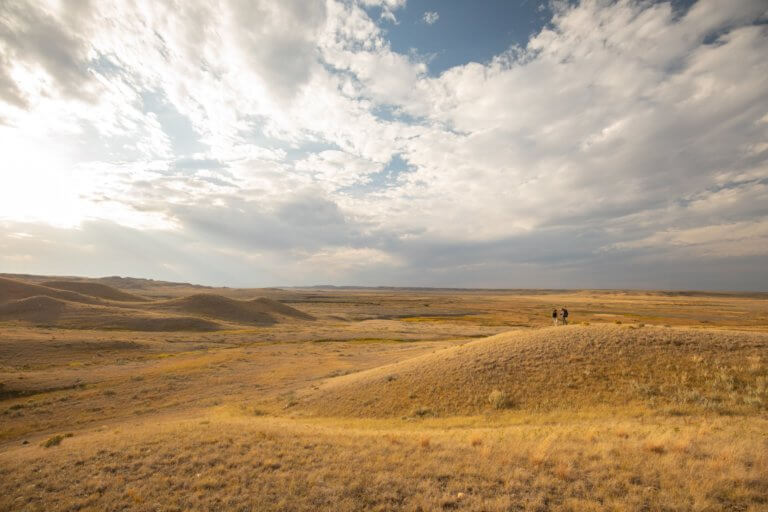 The Beauty Of Grasslands National Park - Landsby