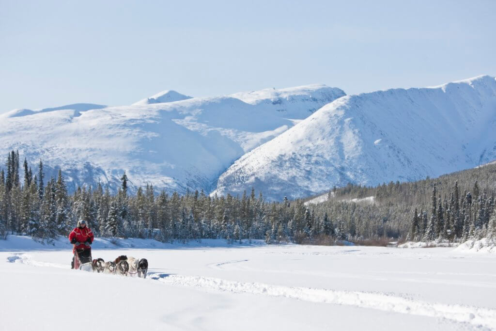 5 Reasons To March Break In The Yukon - Landsby